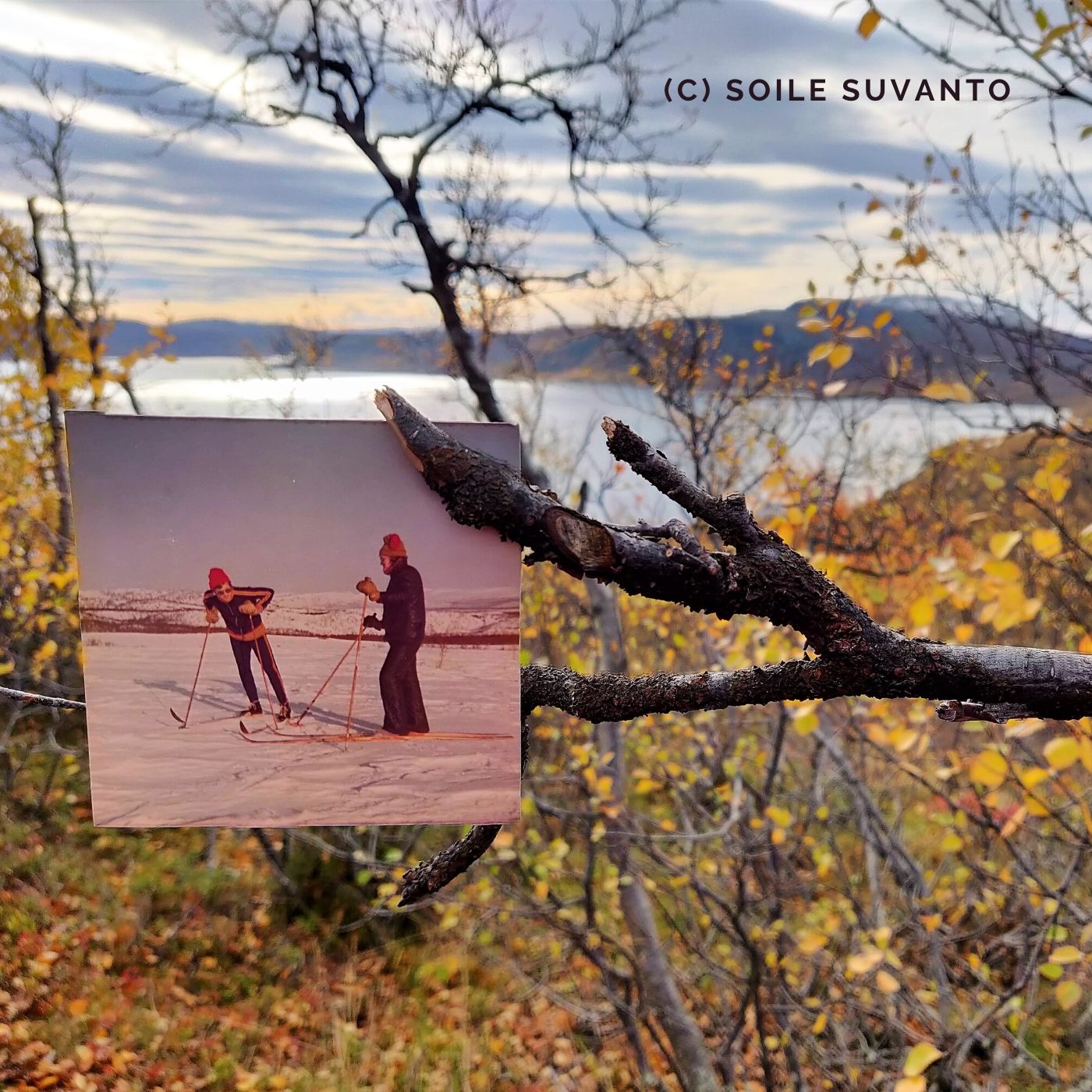 About – Soile Suvanto